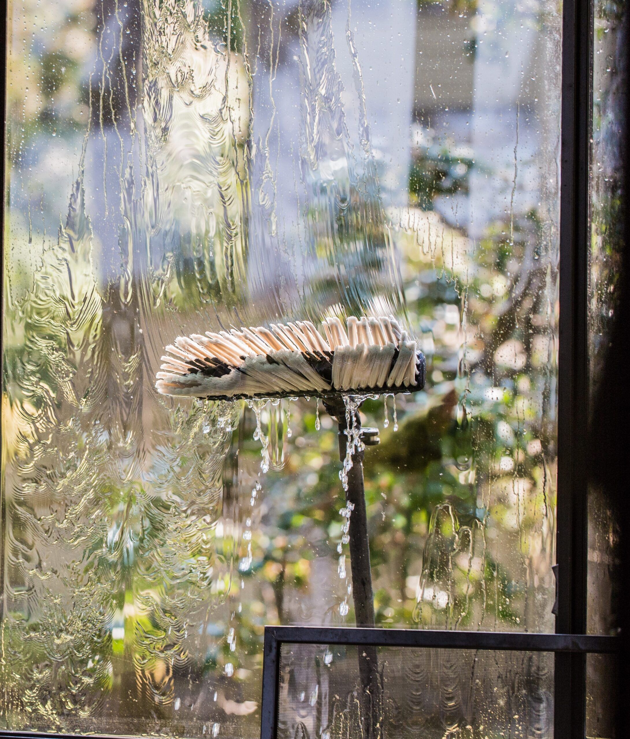 RESIDENTIAL WINDOW CLEANING - Flash Window Cleaning